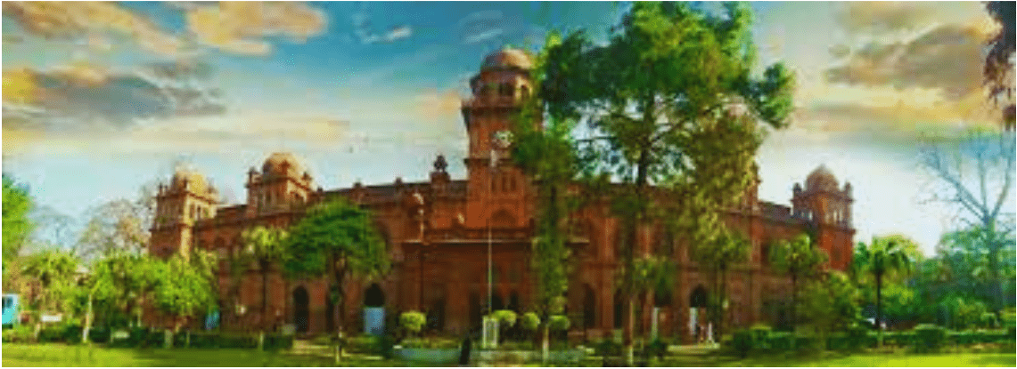 جامن کا پیڑ