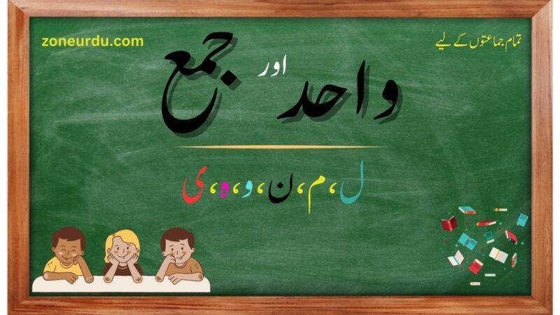 272 مذکر مونث |muzakar Monas In Urdu